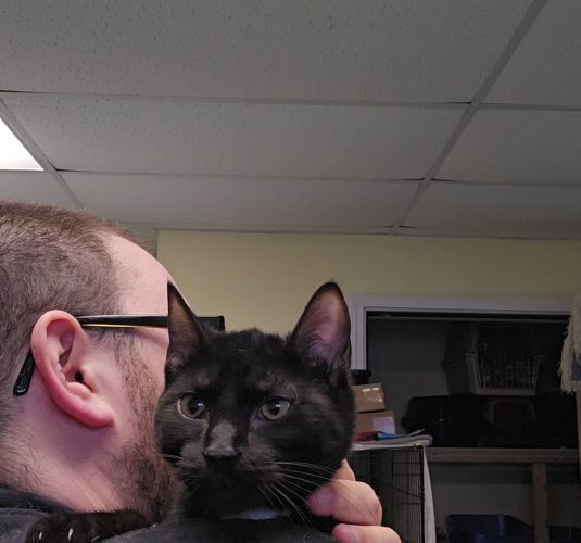 Home - Herkimer County Humane Society